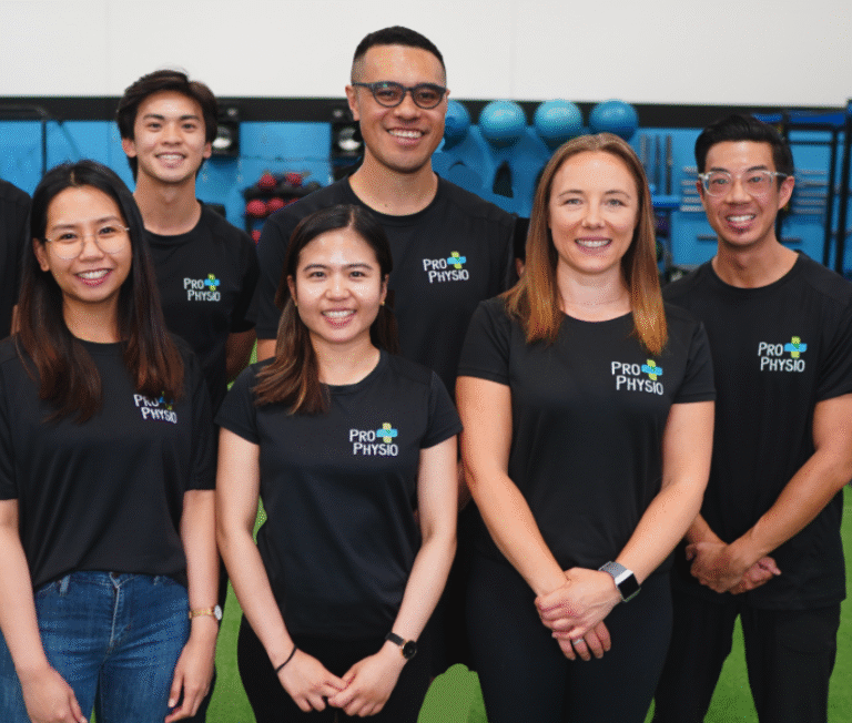 Home - ProPhysio+